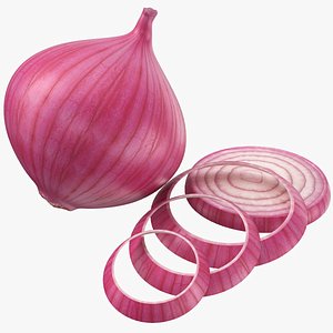 3D Onion Models - Browse & Download Formats - TurboSquid
