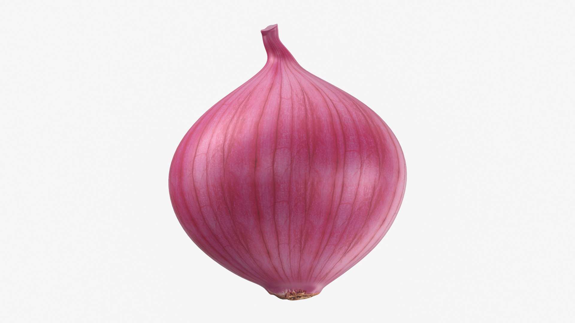 Onion Set Model - TurboSquid 2267512