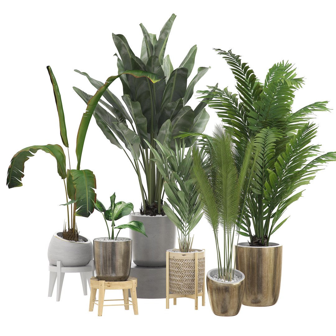 3D Flower Pack 119 - TurboSquid 1632355