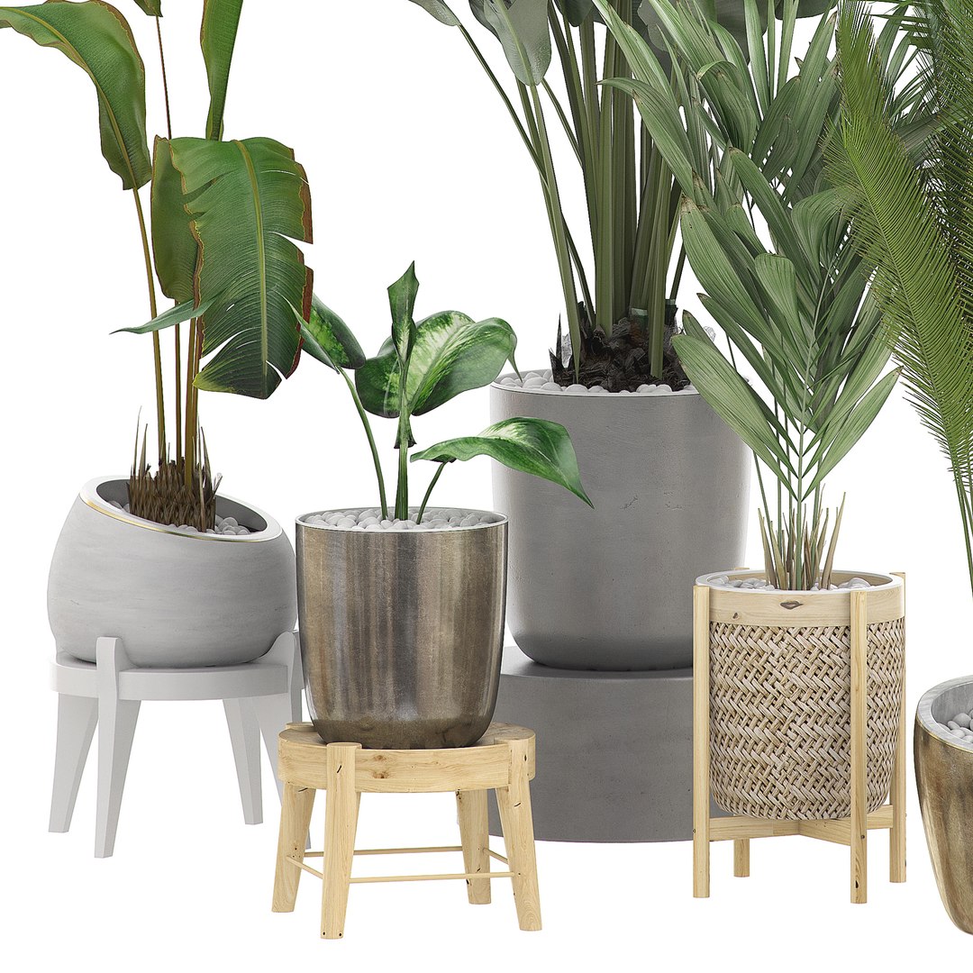 3D Flower Pack 119 - TurboSquid 1632355