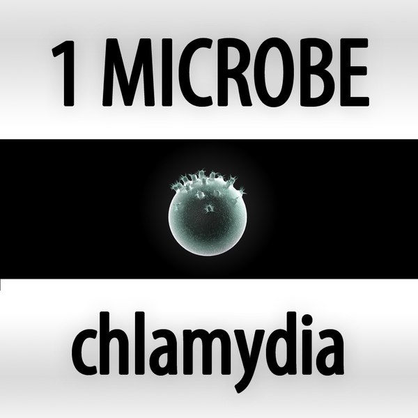 3D Chlamydia Models | TurboSquid