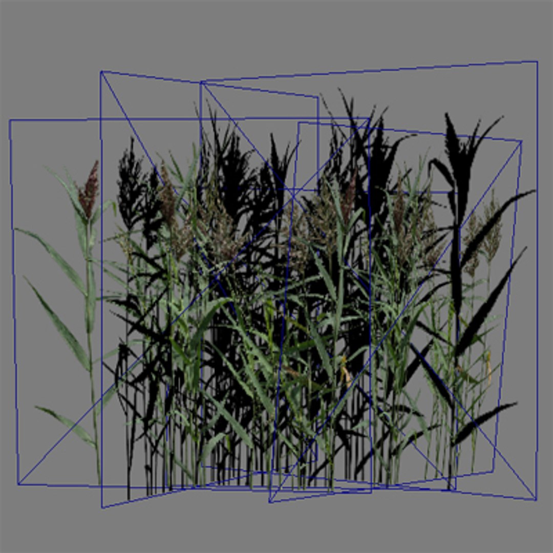 maya pc grass