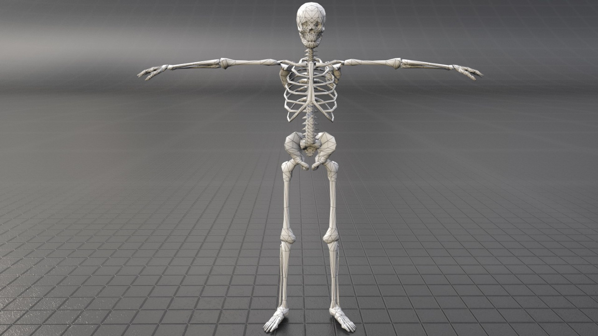 Pack poses skeleton bones 3D model - TurboSquid 1353096
