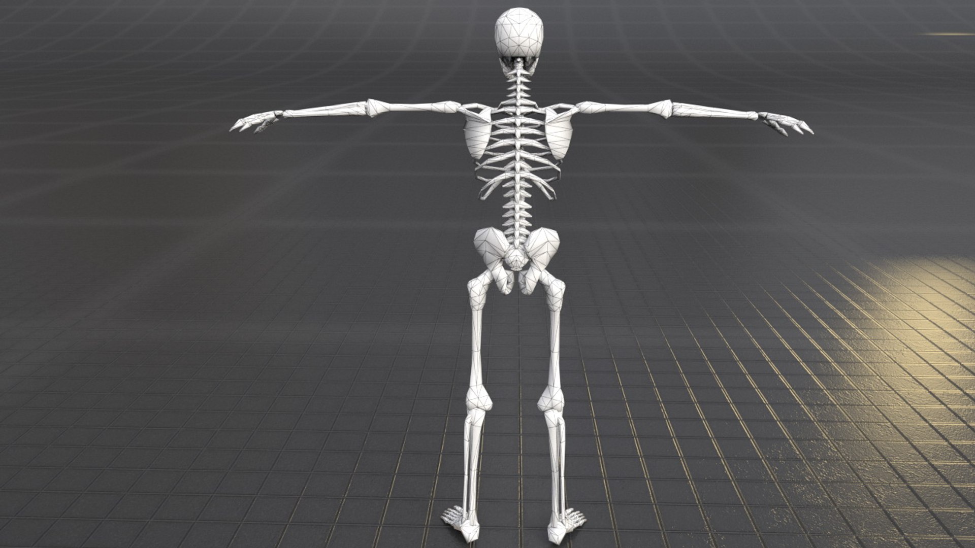 Pack poses skeleton bones 3D model - TurboSquid 1353096