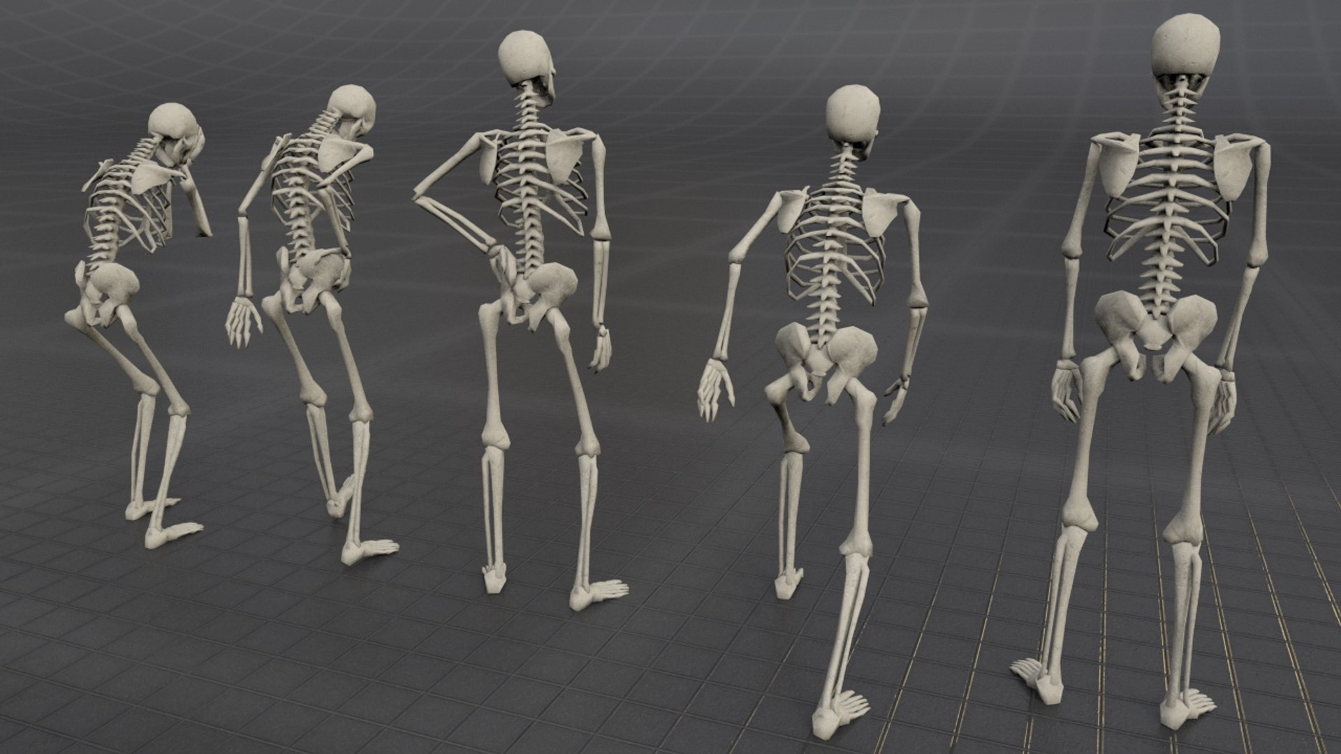 Pack poses skeleton bones 3D model - TurboSquid 1353096