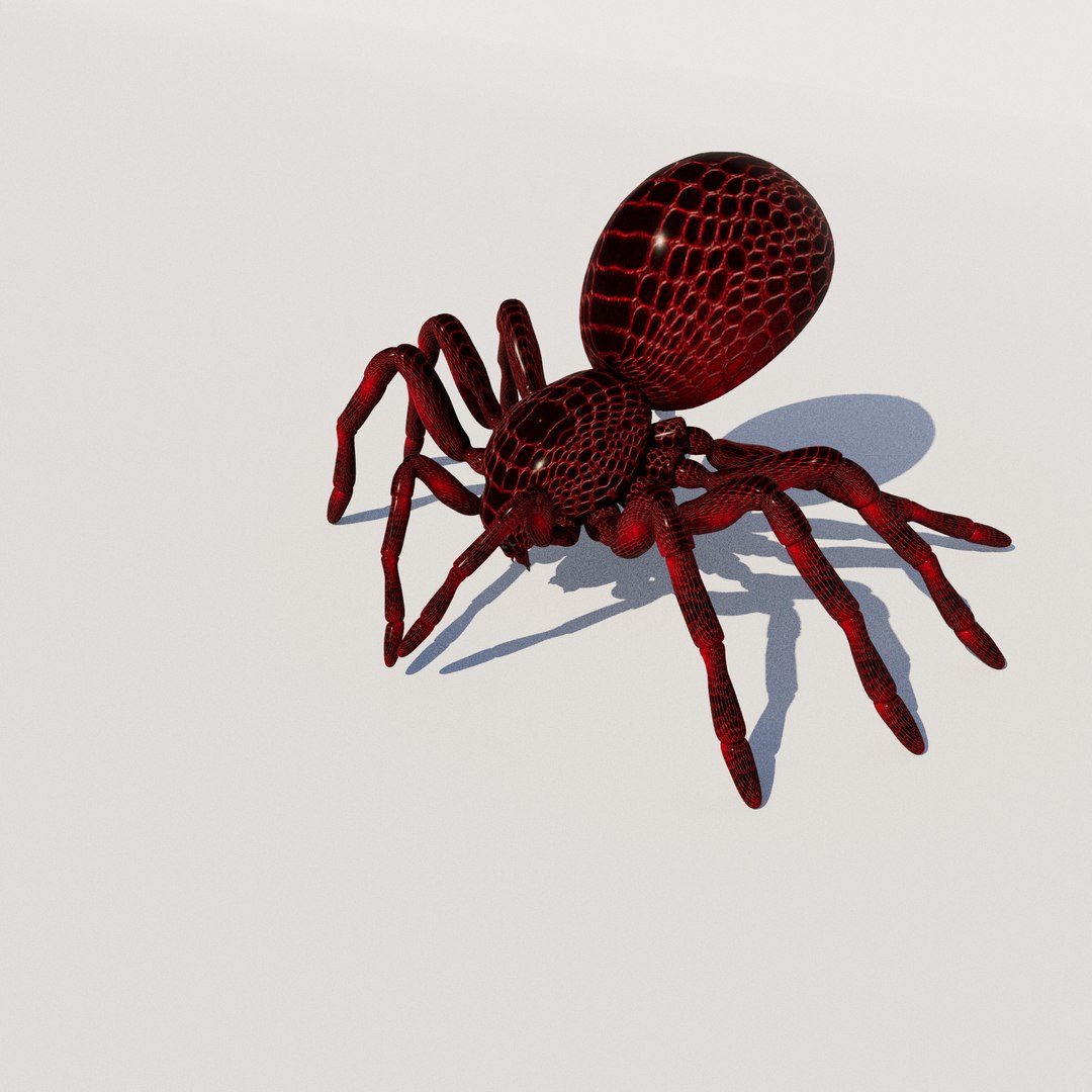 Spider 3D - TurboSquid 2415760