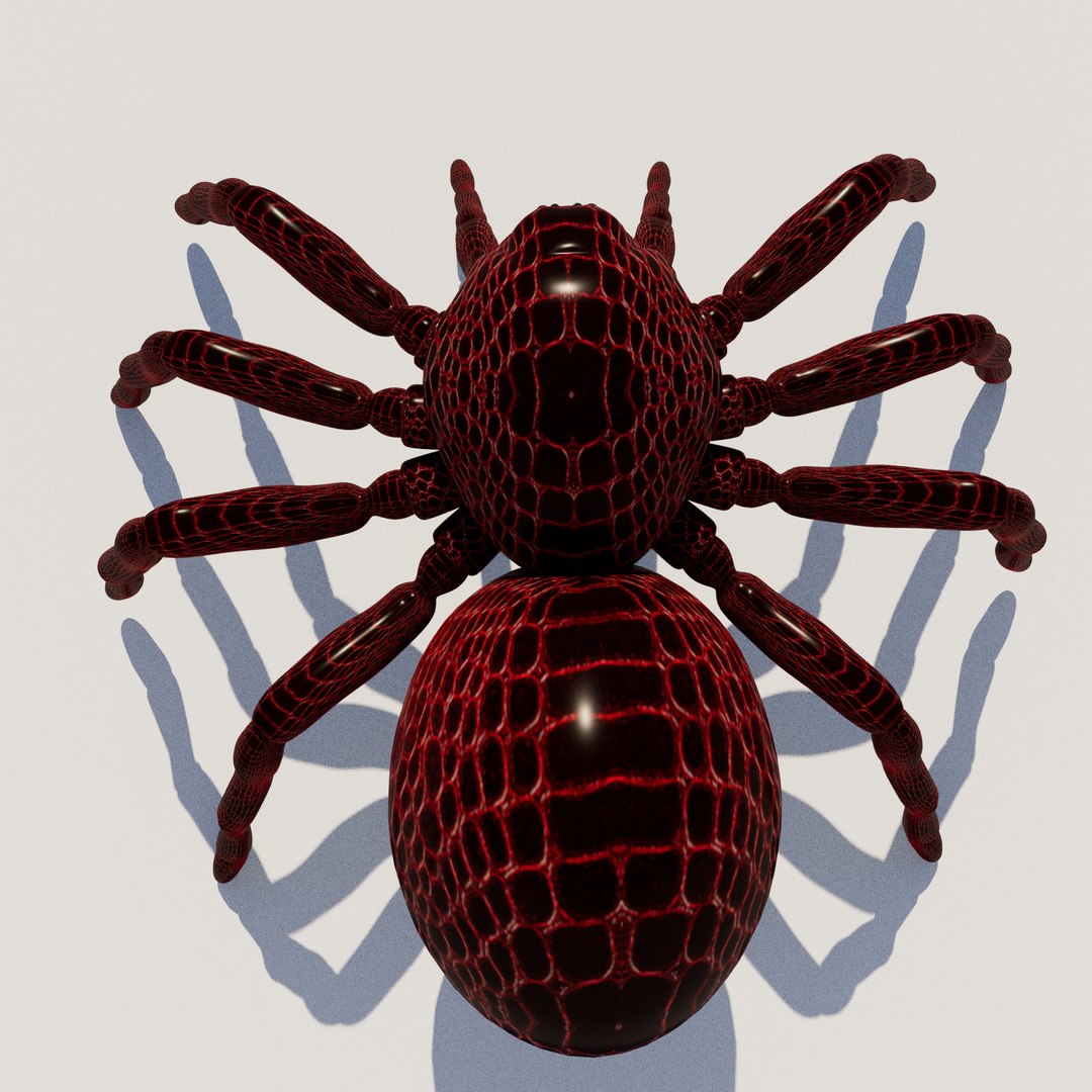 Spider 3D - TurboSquid 2415760