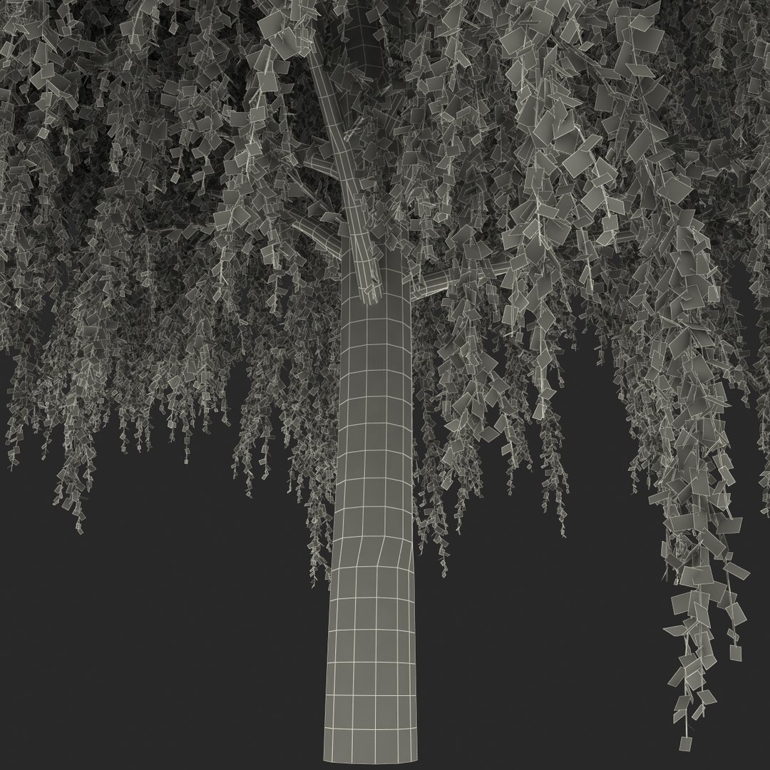 birch tree 3d model