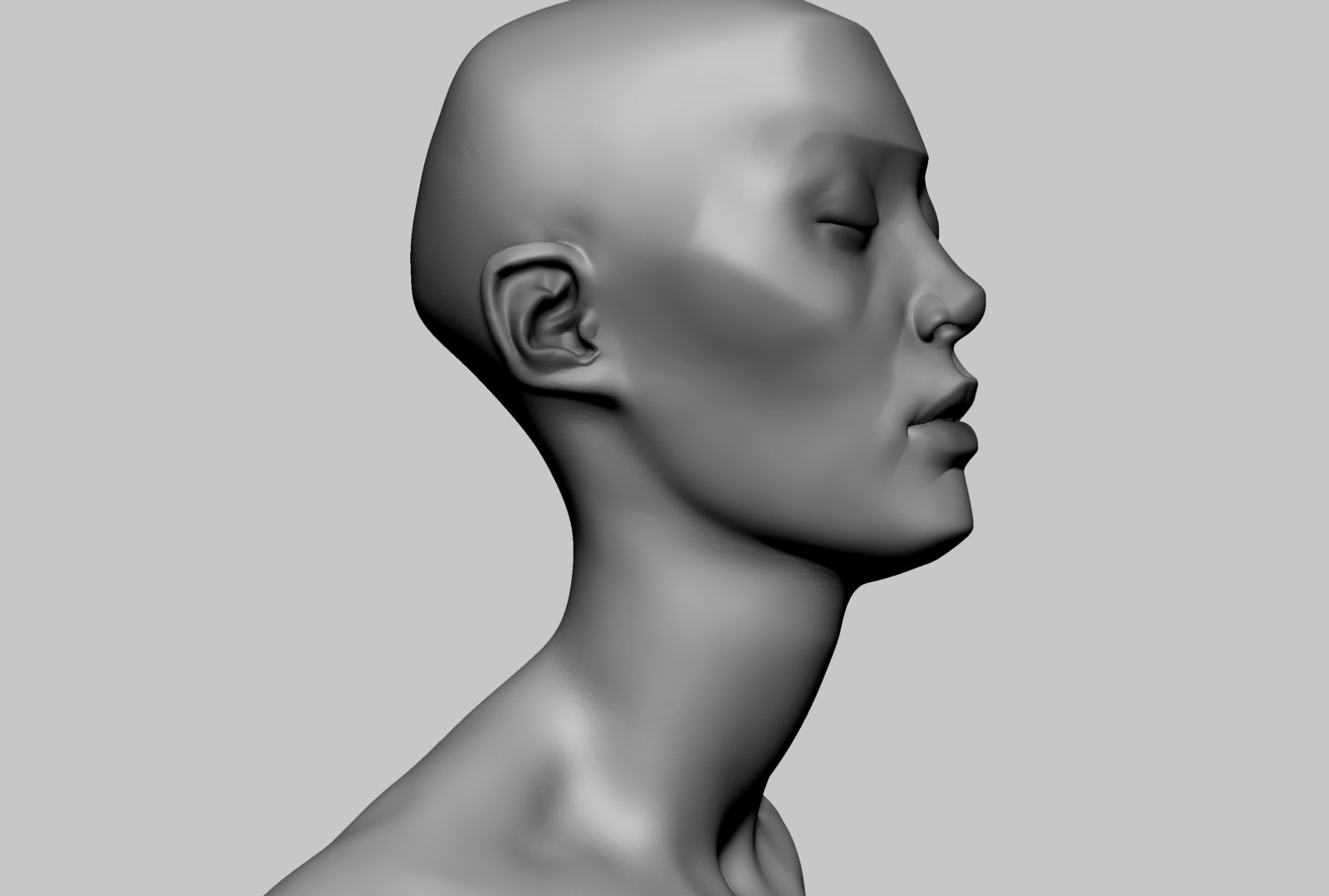 Stylized Female Head Anatomy 3D - TurboSquid 1560429