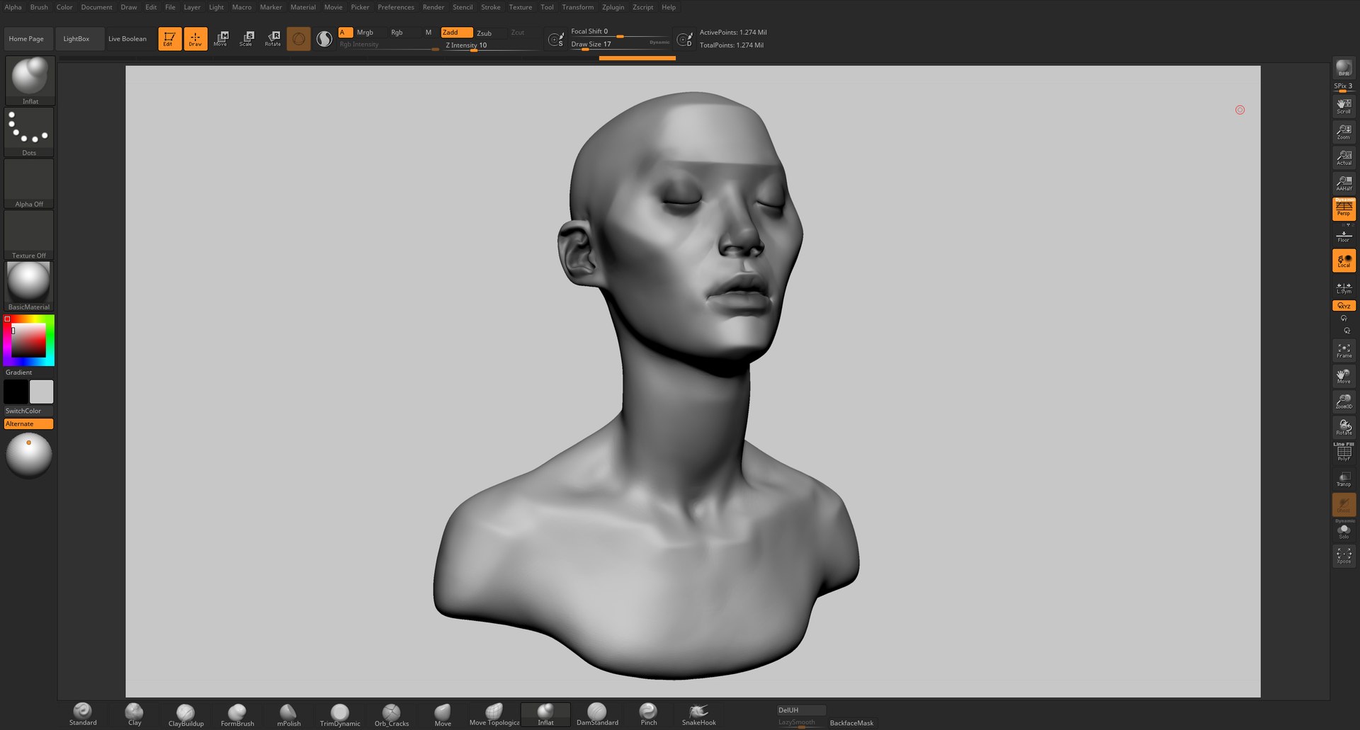 Stylized Female Head Anatomy 3D - TurboSquid 1560429
