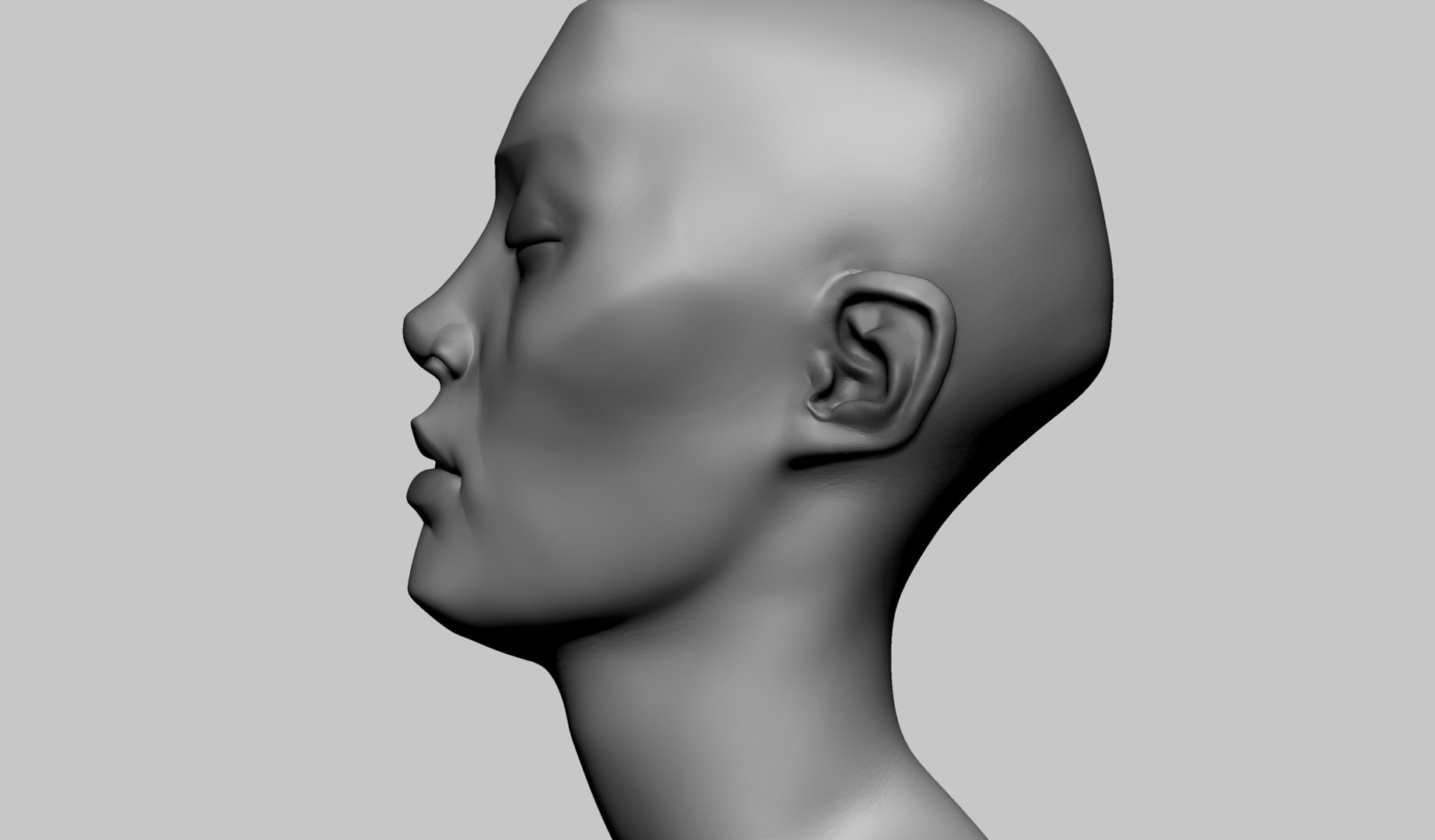 Stylized Female Head Anatomy 3D - TurboSquid 1560429