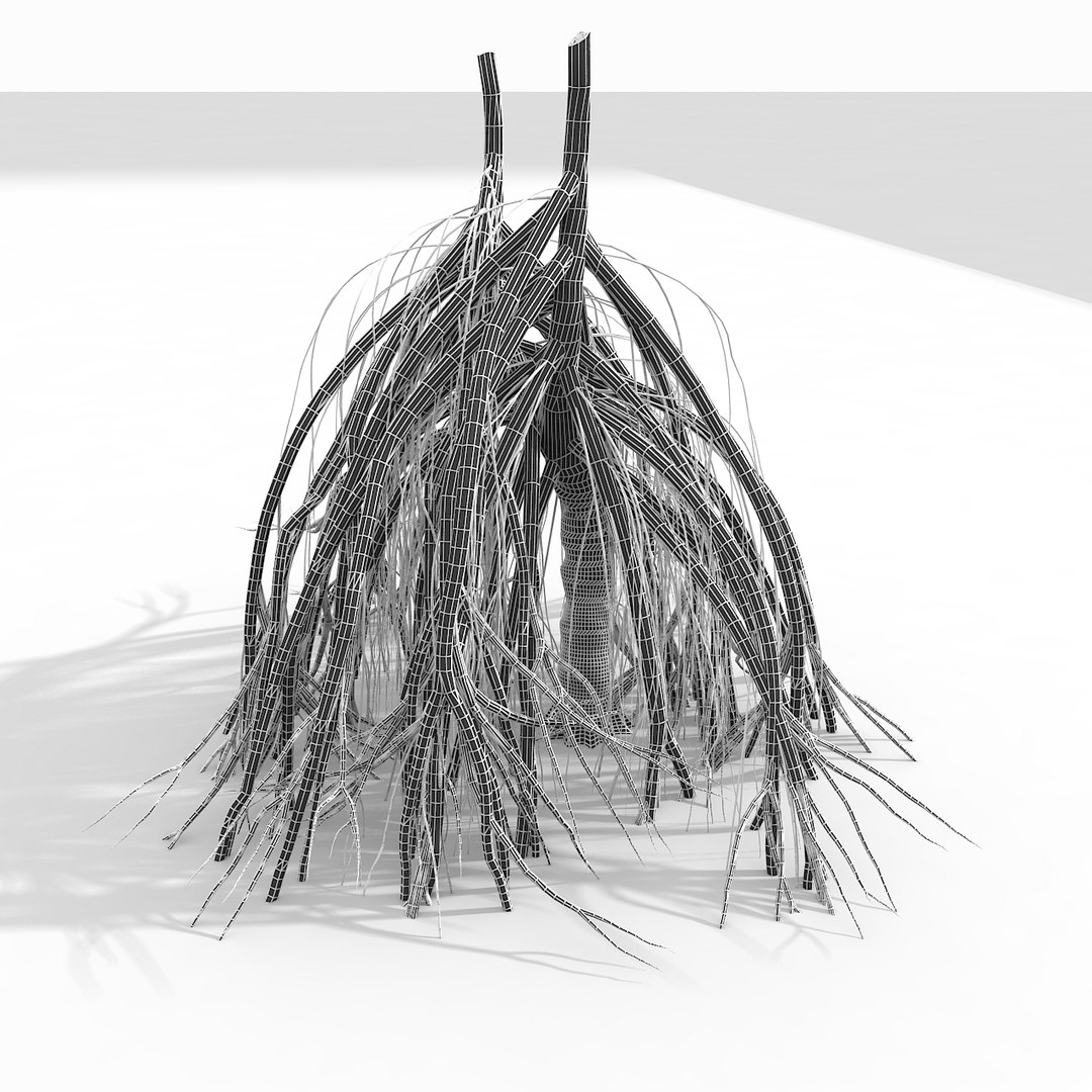 Max Wood Reservation Tribe