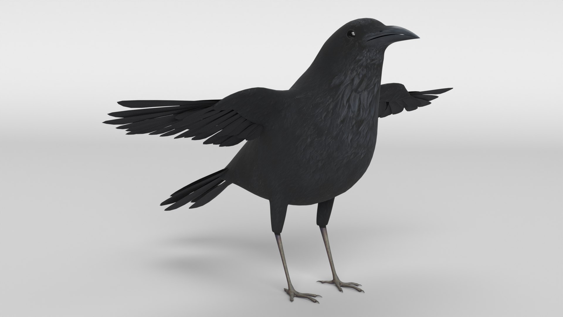 3D Model Raven - TurboSquid 2071417