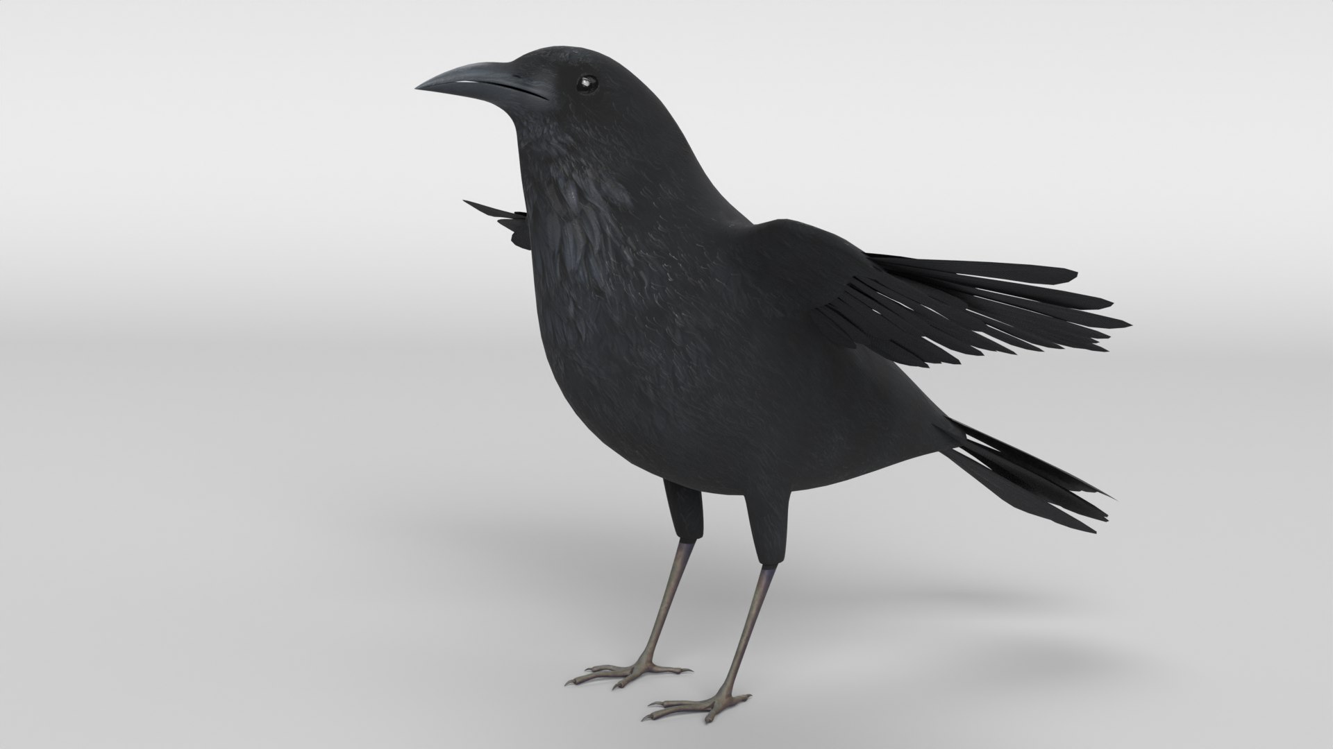 3D Model Raven - TurboSquid 2071417