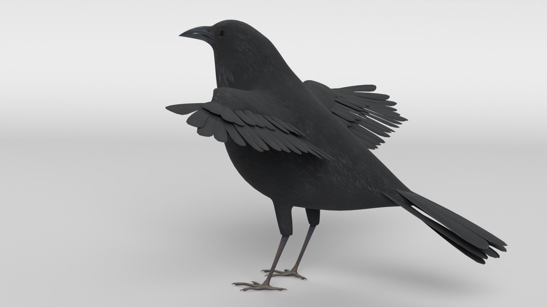 3D Model Raven - TurboSquid 2071417