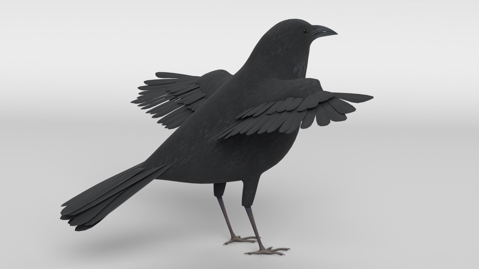 3D Model Raven - TurboSquid 2071417