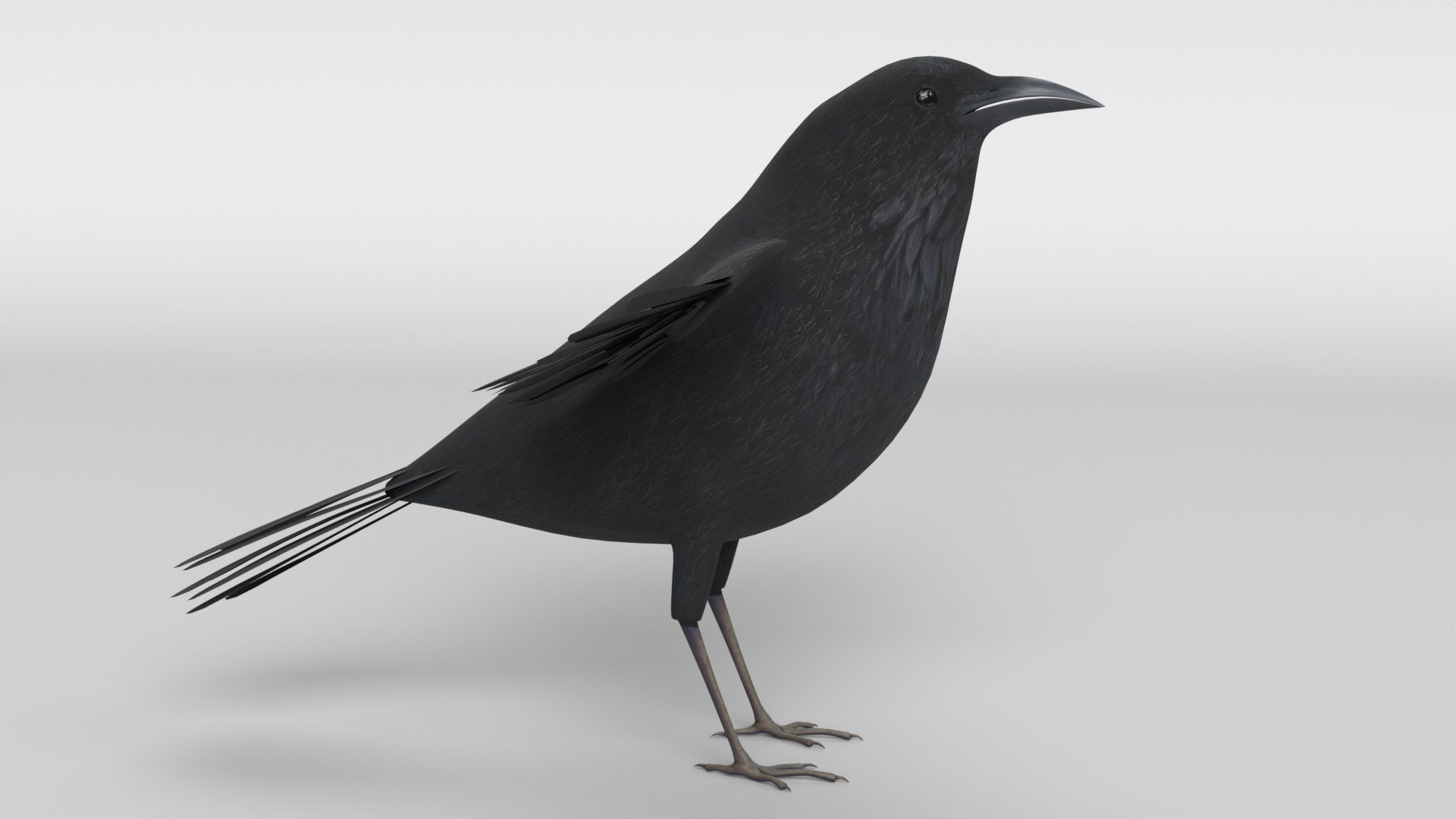3D Model Raven - TurboSquid 2071417