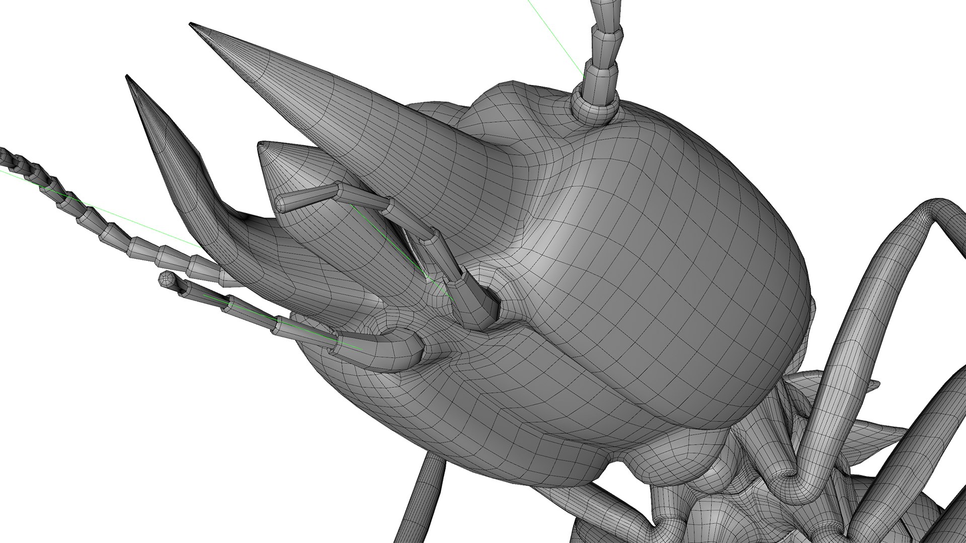 Termite Soldier 3D Model - TurboSquid 1588882