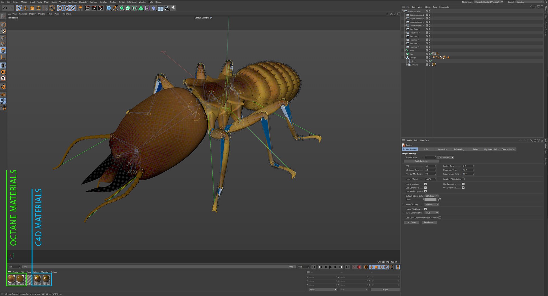 Termite Soldier 3D Model - TurboSquid 1588882