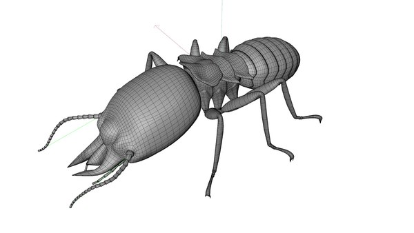 Termite soldier 3D model - TurboSquid 1588882
