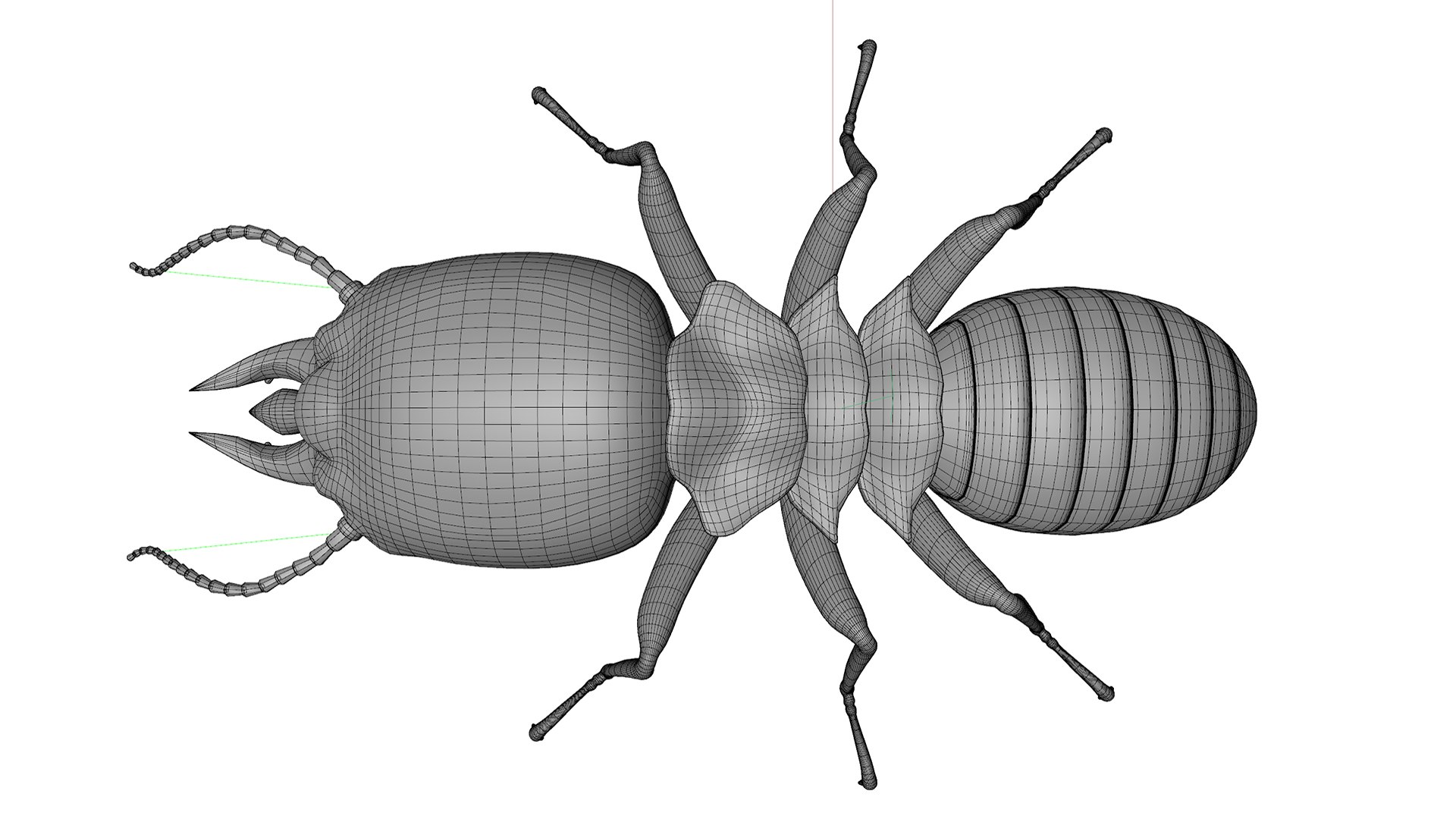 Termite Soldier 3D Model - TurboSquid 1588882