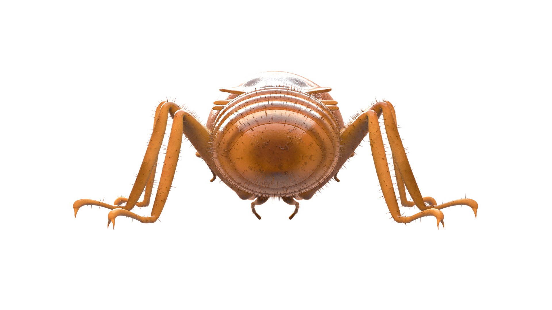Termite Soldier 3D Model - TurboSquid 1588882