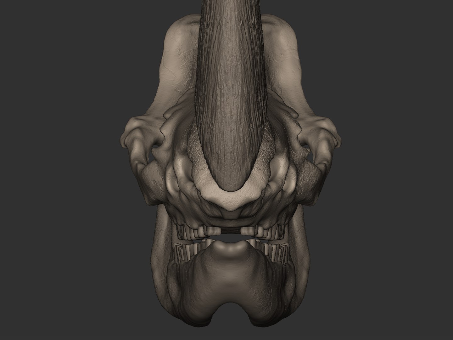 3D Model Woolly Rhinoceros 3D Print Model - TurboSquid 2397808
