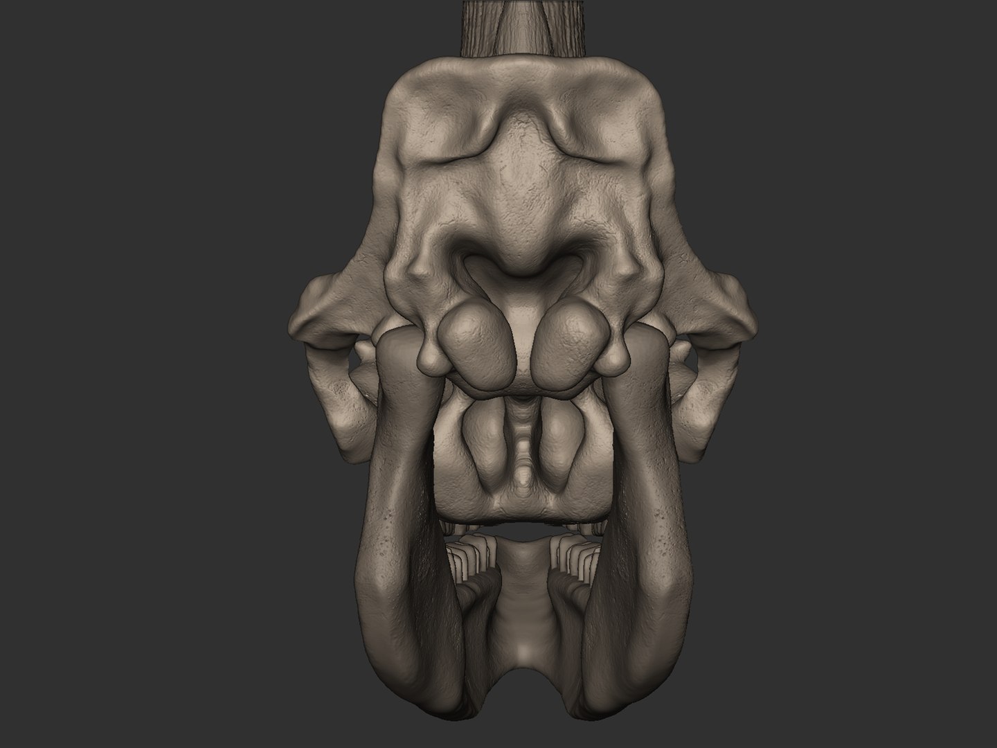 3D Model Woolly Rhinoceros 3D Print Model - TurboSquid 2397808