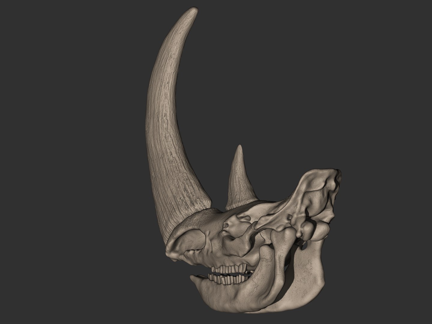 3D Model Woolly Rhinoceros 3D Print Model - TurboSquid 2397808