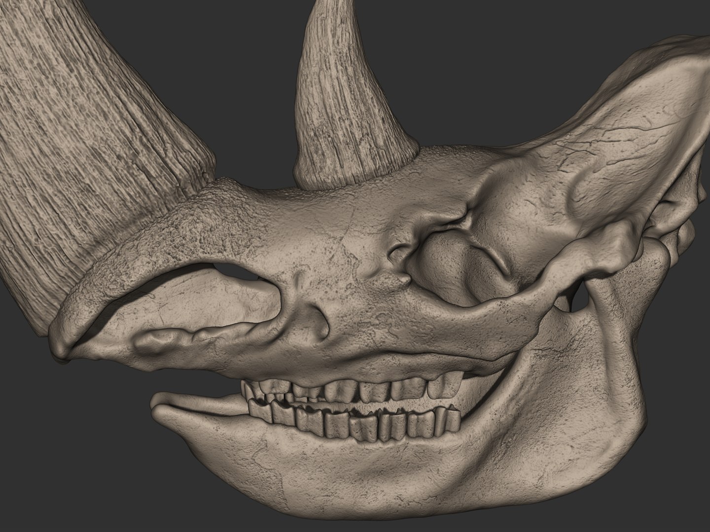 3D Model Woolly Rhinoceros 3D Print Model - TurboSquid 2397808