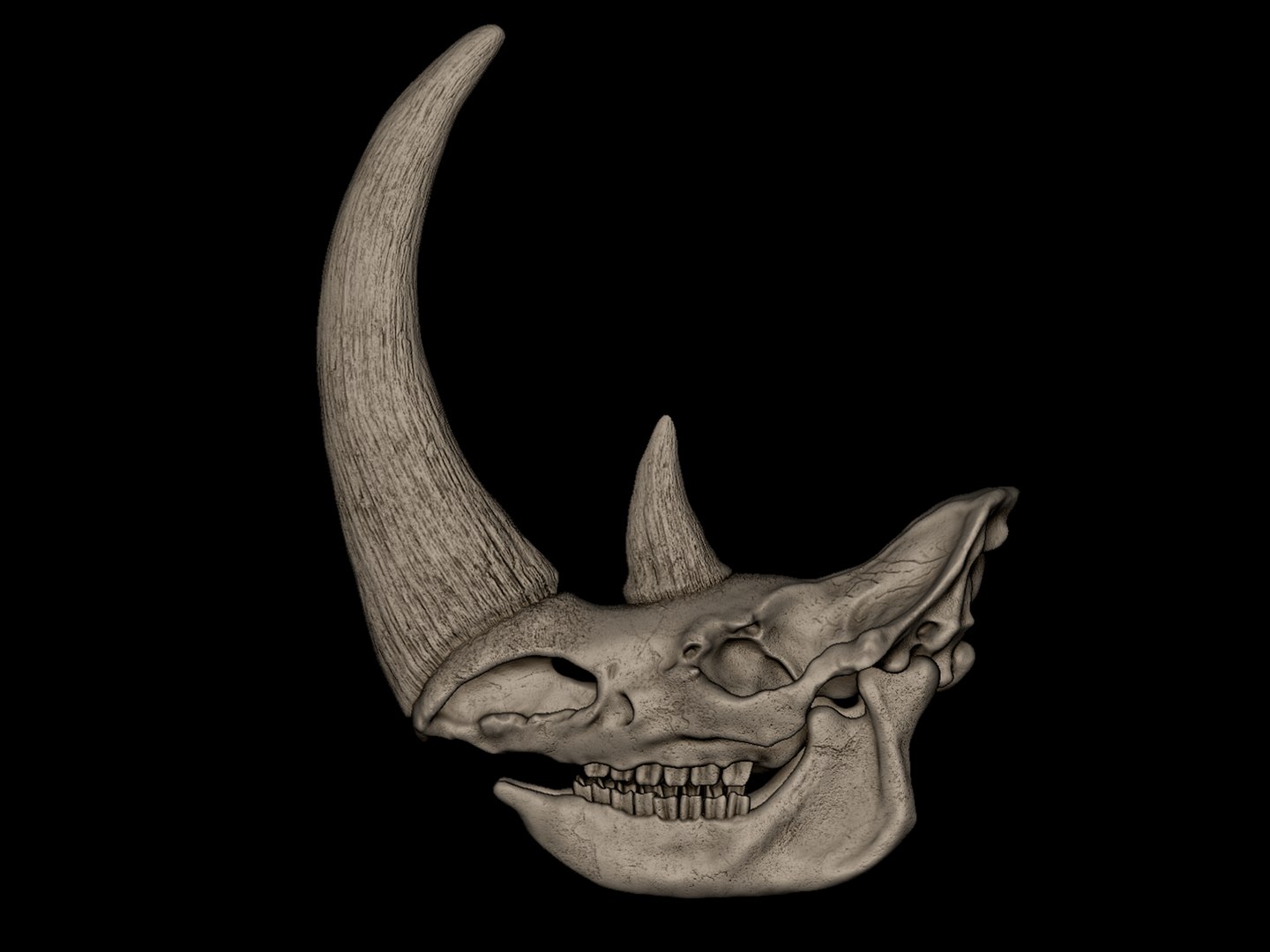 3D Model Woolly Rhinoceros 3D Print Model - TurboSquid 2397808