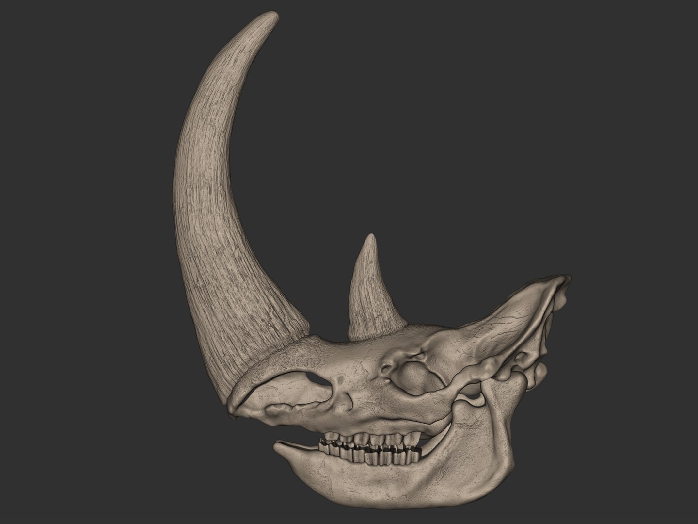 3D Model Woolly Rhinoceros 3D Print Model - TurboSquid 2397808