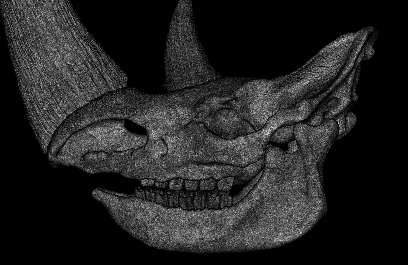 3D Model Woolly Rhinoceros 3D Print Model - TurboSquid 2397808