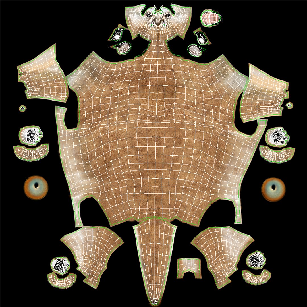 puma fur animation cat 3d model