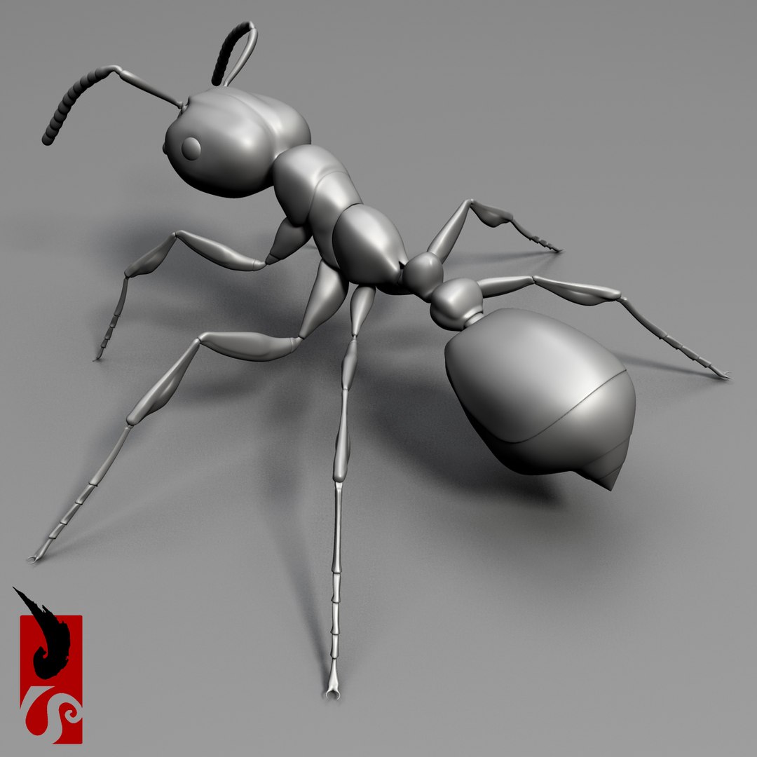 3d Model Red Ant - Solenopsis
