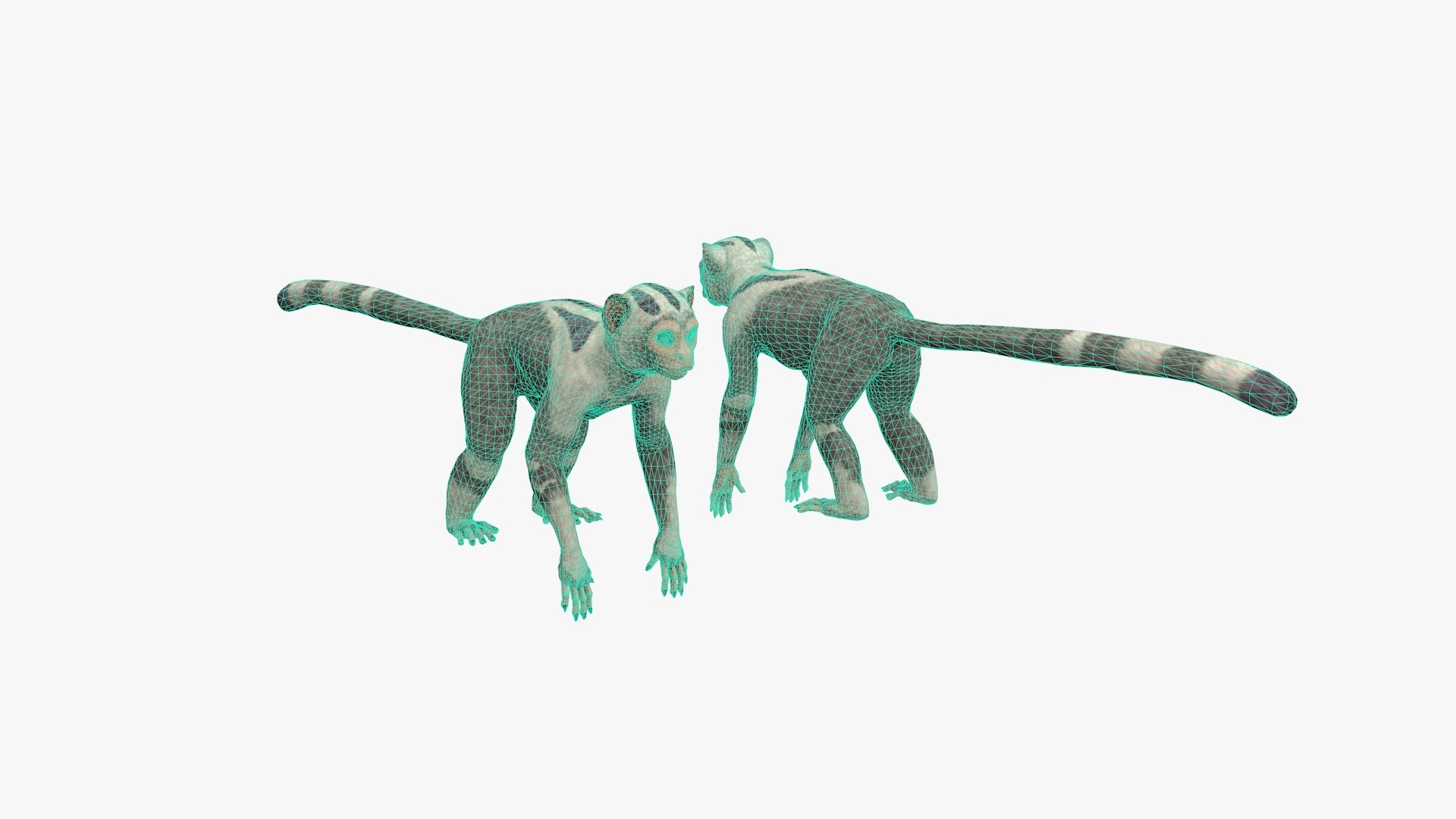 Monkey White Model - TurboSquid 2351179
