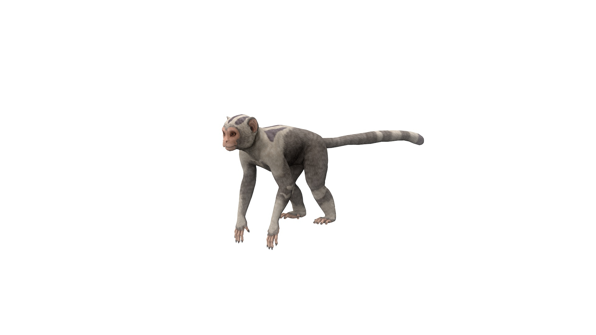 Monkey White Model - TurboSquid 2351179