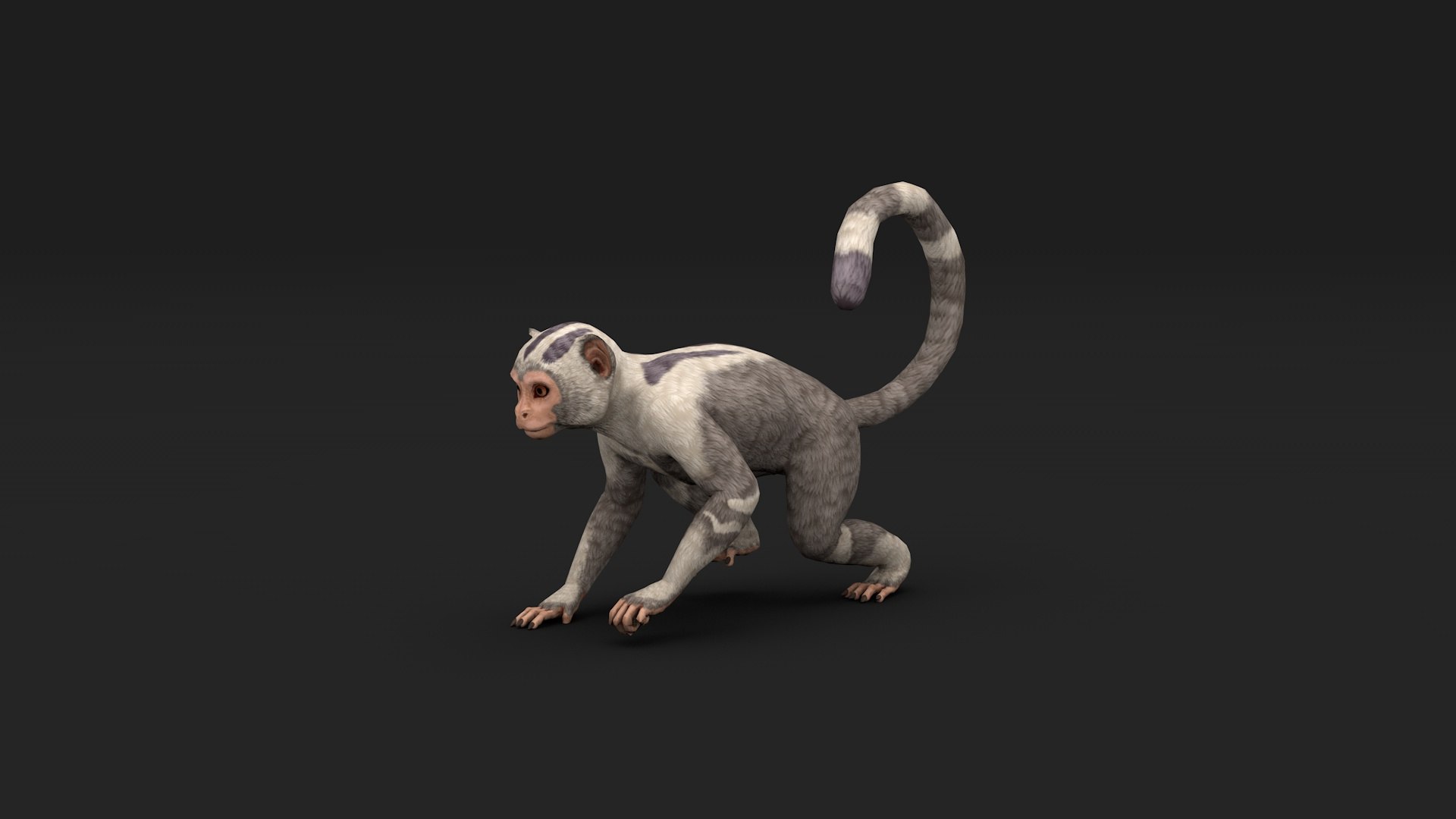 Monkey White Model - TurboSquid 2351179
