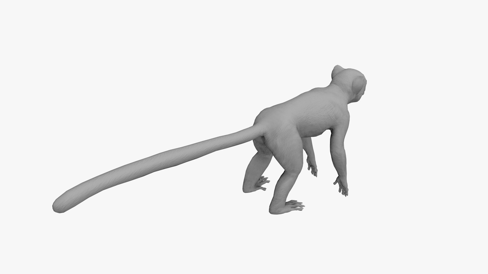 Monkey White Model - TurboSquid 2351179
