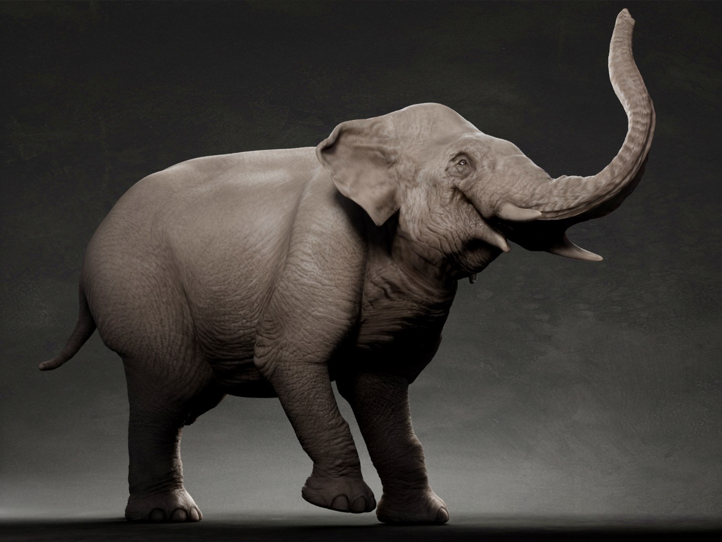 3D Animal Elephant Model - TurboSquid 1685586
