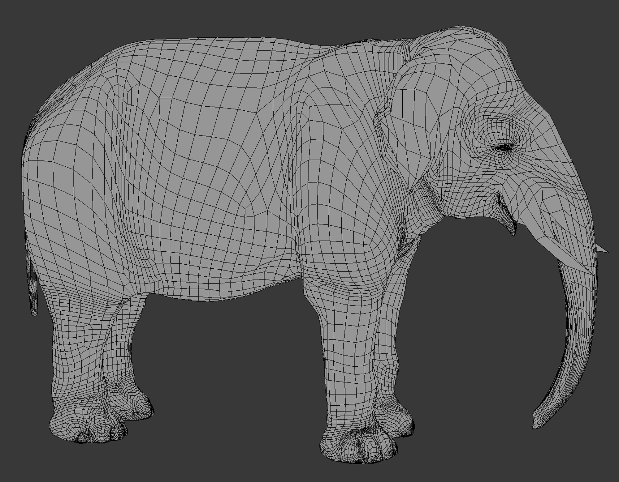 3D animal elephant model - TurboSquid 1685586