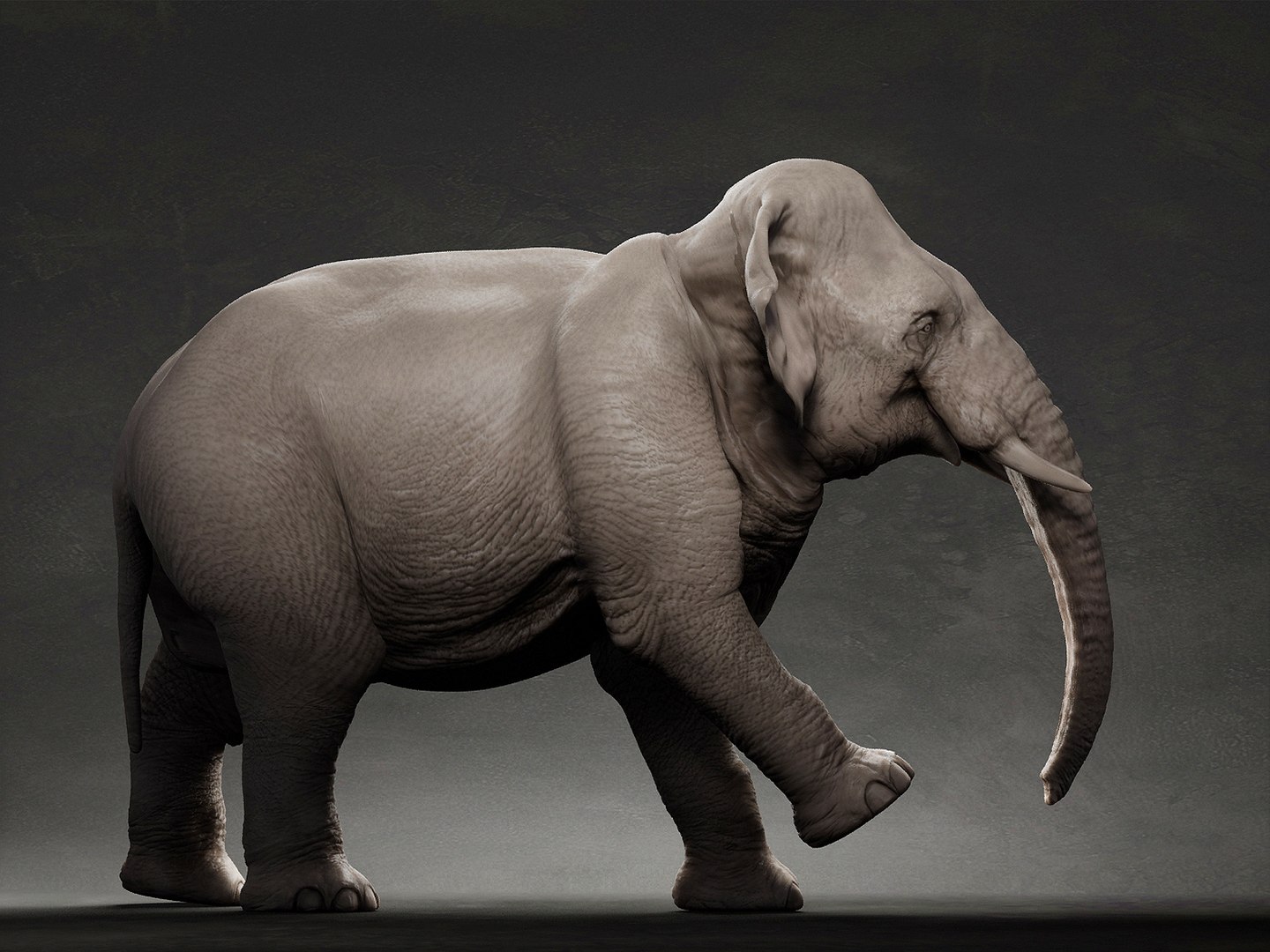 3D Animal Elephant Model - TurboSquid 1685586