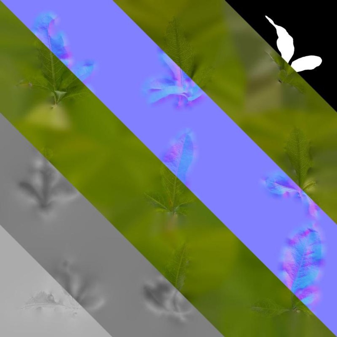 3D Model Anydrafts Plumbago Auriculata Leaf 03 Textures - TurboSquid ...