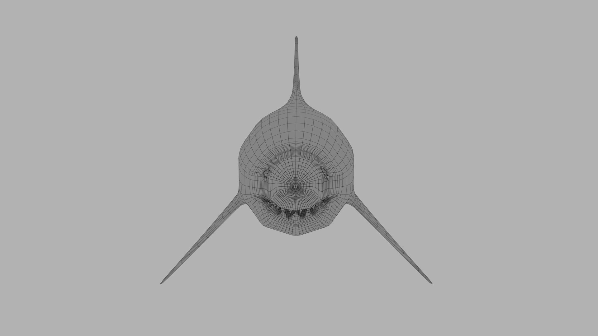 Shark model - TurboSquid 1248539