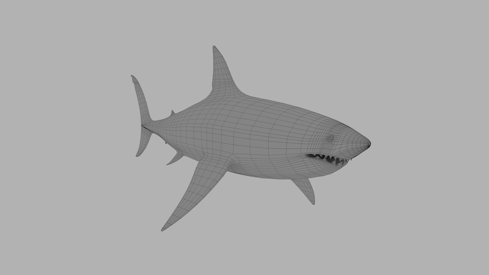 Shark model - TurboSquid 1248539