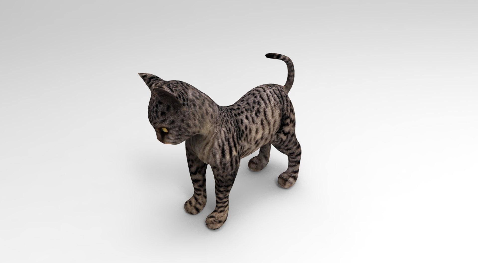 Cat Rigged Animation Model - TurboSquid 1204528