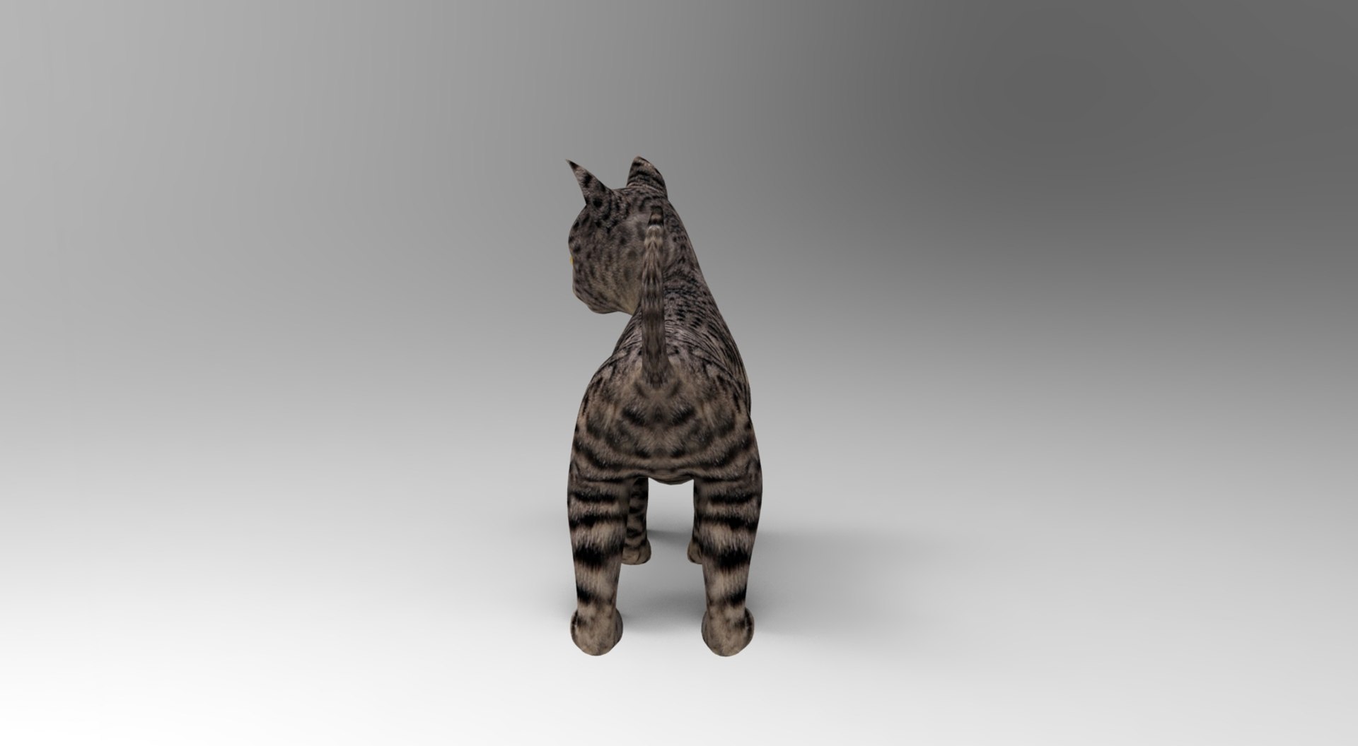 Cat Rigged Animation Model - TurboSquid 1204528