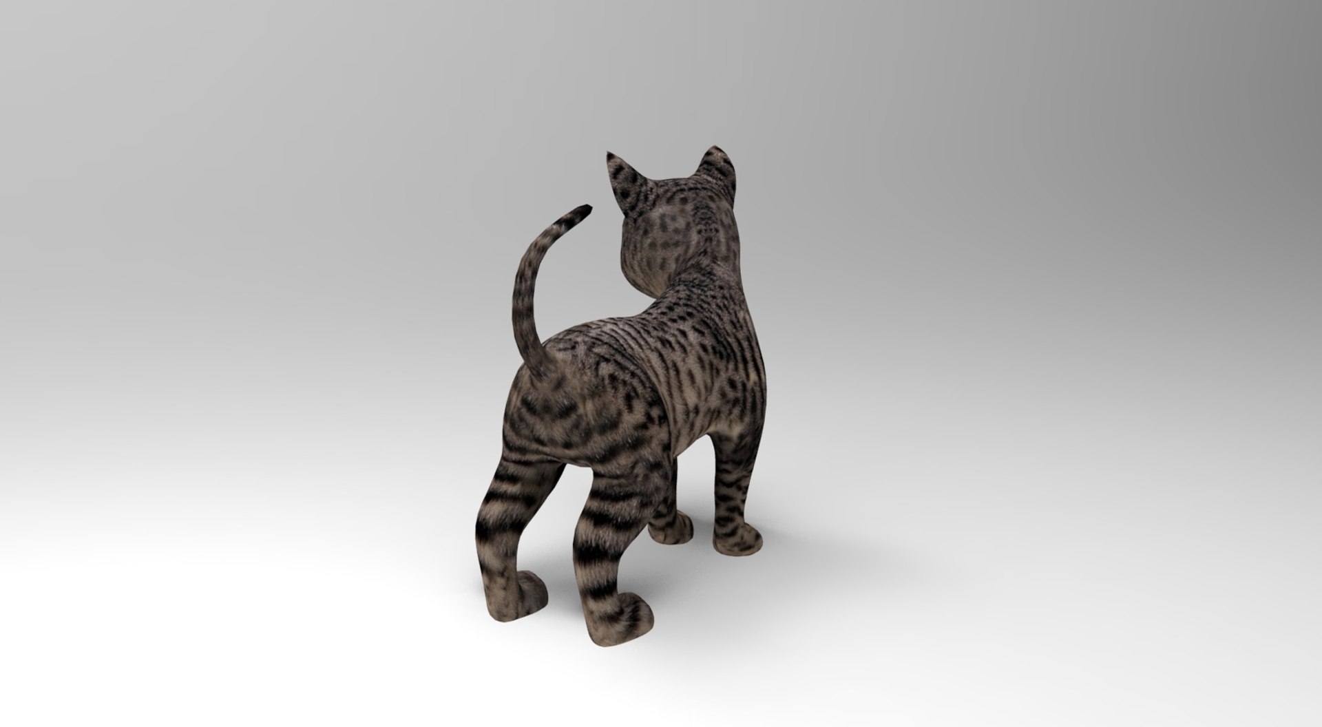 Cat Rigged Animation Model - TurboSquid 1204528
