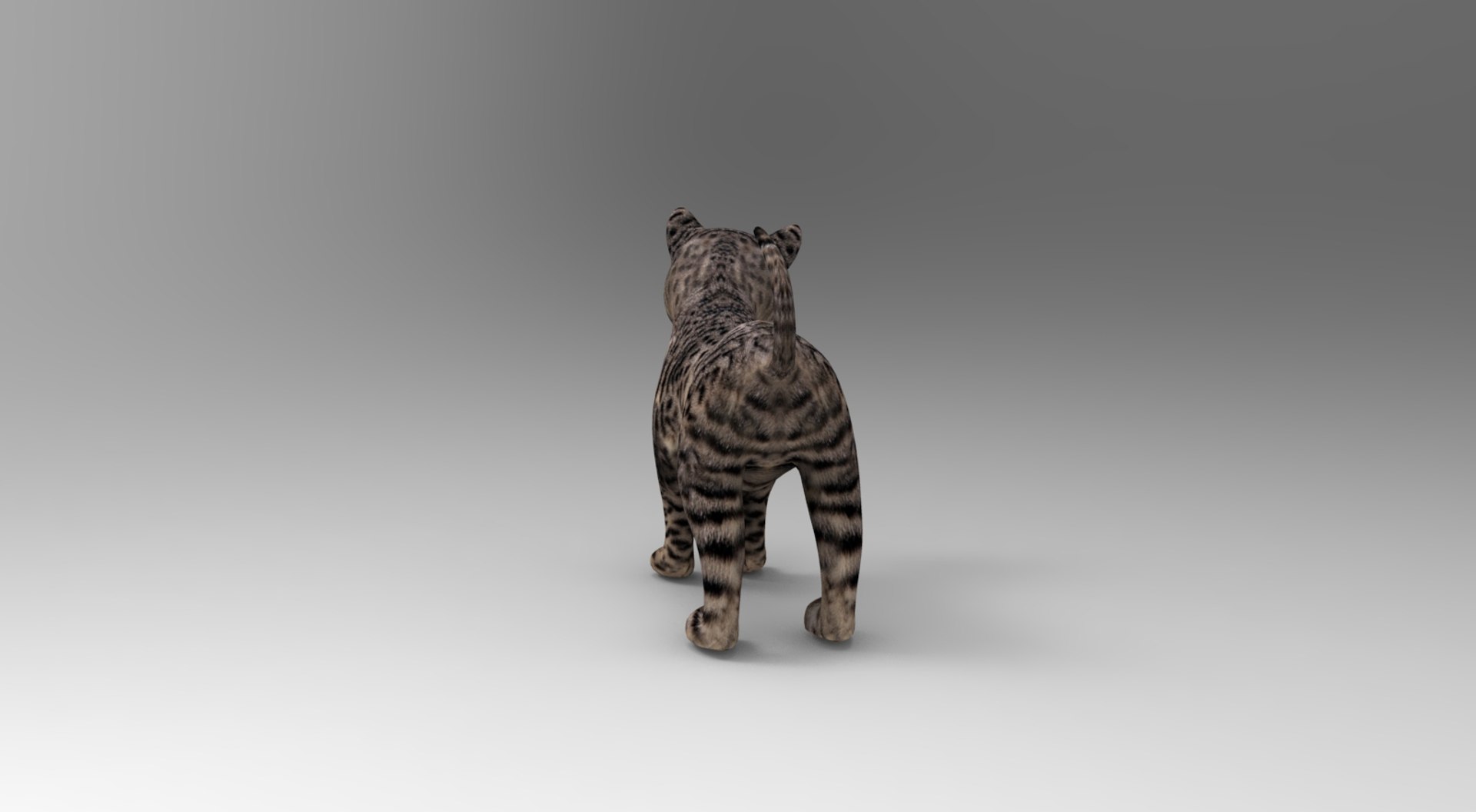 Cat Rigged Animation Model - TurboSquid 1204528