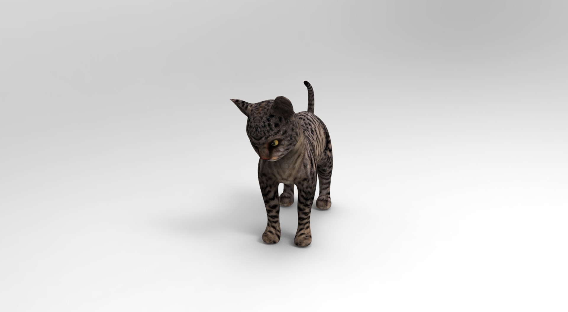 Cat Rigged Animation Model - TurboSquid 1204528